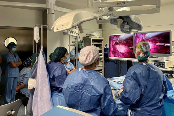 I Curso de abordaje preperitoneal endoscópico de la hernia inguinal en ...